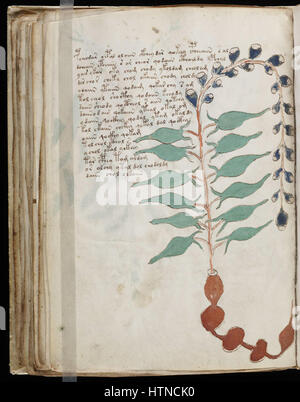 The Voynich Manuscript, a mysterious 15th-century text, contains an ...