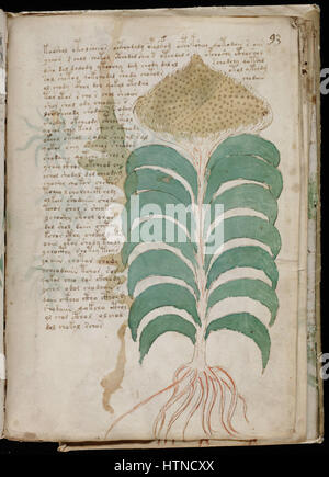 The Voynich Manuscript is an early 15th-century manuscript written in ...