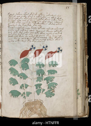 The Voynich Manuscript, a mysterious 15th-century book, is known for ...
