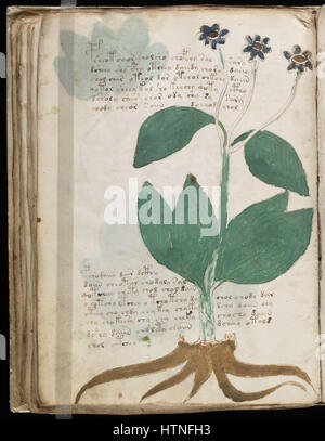 The Voynich Manuscript is an ancient, illustrated codex written in an ...