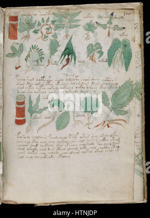 The Voynich Manuscript is a mysterious, illustrated codex written in an ...