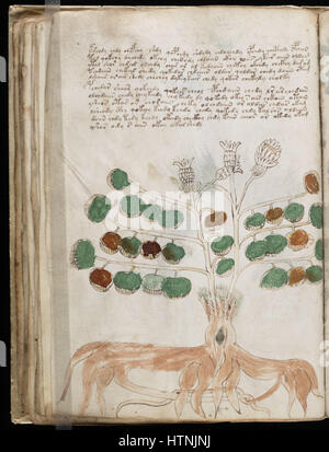 The Voynich Manuscript, a mysterious 15th-century book, is known for ...
