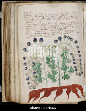 The Voynich Manuscript, known for its mysterious script and ...