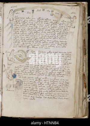 The Voynich Manuscript is a mysterious and undeciphered text, dating ...
