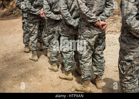 LINE OF AMERICAN SOLDIERS STANDING AT PARADE REST Stock Photo - Alamy