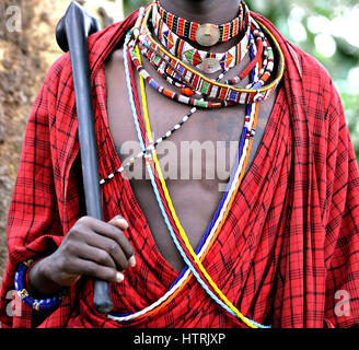 Maasai warrior wearing traditional dress while doing archery with a bow ...