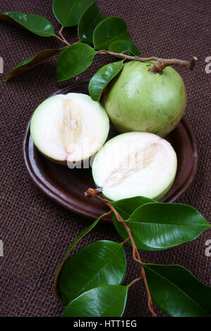 Star apple, Vu Sua, Vietnam Stock Photo - Alamy