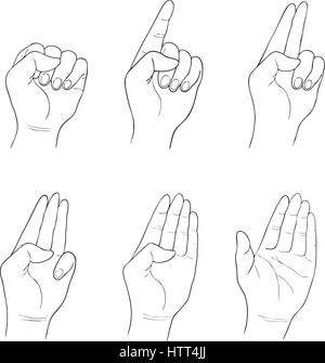 Palm of hand raised up with four finger. Object isolated on white ...