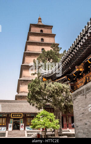 The giant wild goose pagoda or Dayan Pagoda at sunset located in Da ...