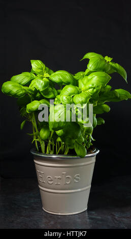 Closeup shot of a basil plant in a flowerpot, and dry pasta on a wooden ...