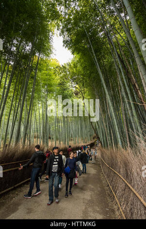 Forest around Kyoto, Japan Stock Photo - Alamy