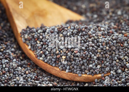 spoon of whole poppy seeds - close up Stock Photo - Alamy