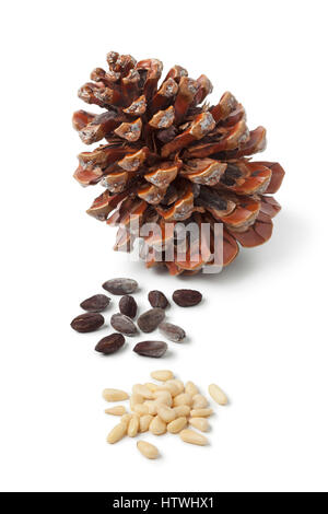 Stone pine cone, pinoli, and seeds on white background Stock Photo - Alamy