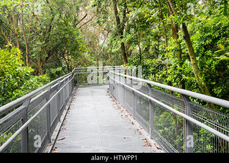 The Forest Walkway, an elevated walkway in Kent Ridge Park as part of ...