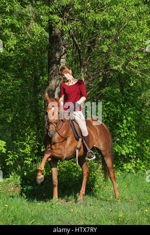 Horseback riding in the woods Stock Photo - Alamy