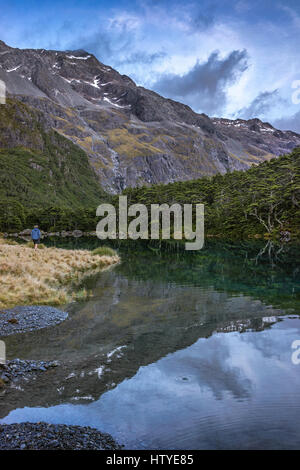Blue lake, Nelson Lakes National Park, New Zealand Stock Photo - Alamy