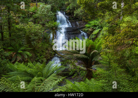 Triplet Falls, Australia, Victoria, Great Otway, national park ...