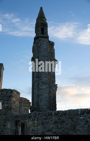 Castle ruins in Elie, Scotland Stock Photo - Alamy