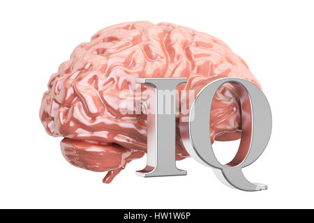Human brain and IQ test text isolated on white background. 3D ...