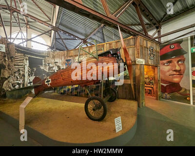 LFG Roland, D VI Stock Photo - Alamy