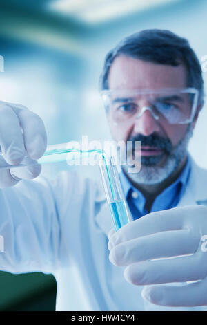 mature scientist mixing the blue liquid in the erlenmeyer flask Stock ...