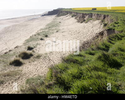 VIEW OF RETREATING COASTLINE CAUSED BY COASTAL EROSION, AT HAPPISBURGH ...