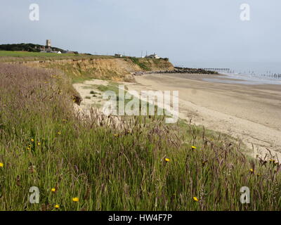 VIEW OF RETREATING COASTLINE CAUSED BY COASTAL EROSION, AT HAPPISBURGH ...