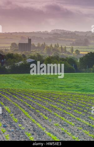 Denmark, Mon, Borre, elevated village view Stock Photo - Alamy