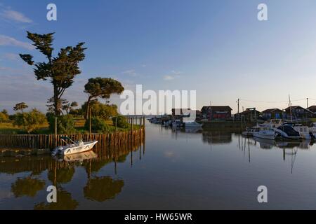 France, Gironde, Bassin d'Arcachon, Lanton, Cassy port Stock Photo - Alamy