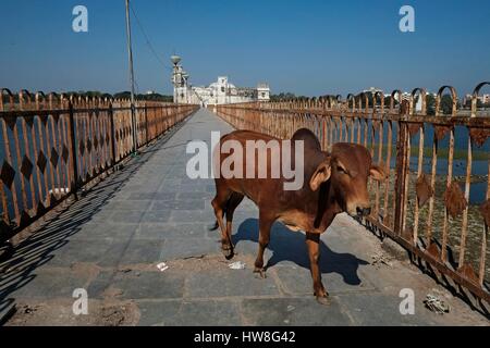 India, Gujarat State, Jamnagar Lakhota Fort Stock Photo - Alamy