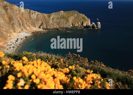 France, Manche, Jobourg, the cliffs of the nose of Jobourg which is a ...