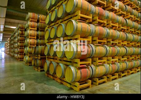 France, Gironde, Blanquefort, Castel group, the largest wineries in ...