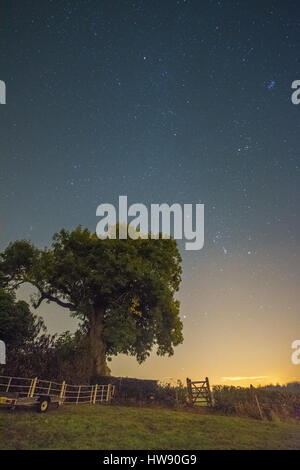 Night landscape, astrophotography. Silhouettes of trees, starry sky and ...