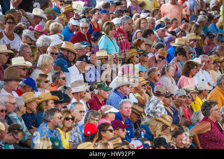 Crowd of people in bleachers at spectator sporting event Stock Photo ...