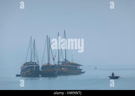 Vietnam, Cat Ba Island, Ben Beo harbor Stock Photo - Alamy