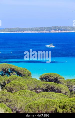 Beach, Plage de Palombaggia in the evening, Porto Vecchio, Corse-du-Sud, Corsica, France Stock ...