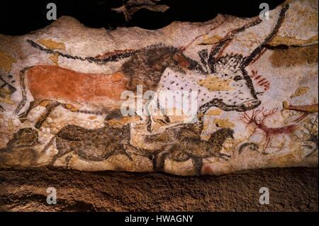 Detail of a cave painting at Lascaux, France. Wounded Bison, Wounded ...