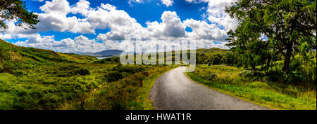 Galloway forest dark sky park. View of the night sky, stars and a ...