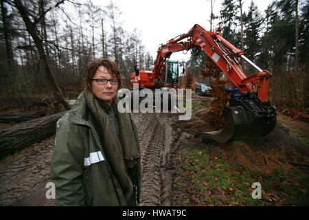 forestkeeper at work Stock Photo - Alamy