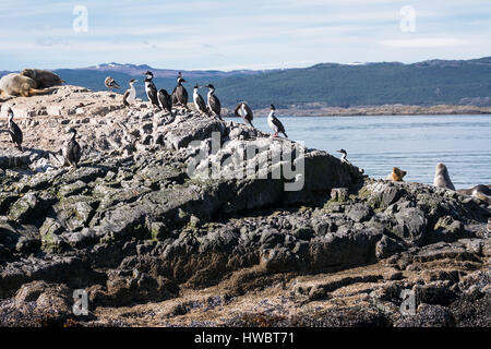 Bird Island in the Beagle Channel near the Ushuaia city. Ushuaia is the ...
