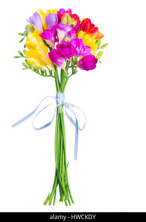 posy of red freesia flowers Stock Photo - Alamy