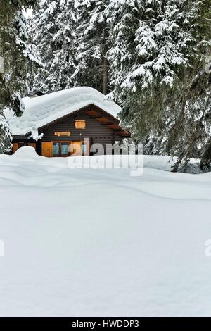 France, Savoie, Beaufortain, Hauteluce, Les Contamines, stage of life of winter sports, Skiers ...