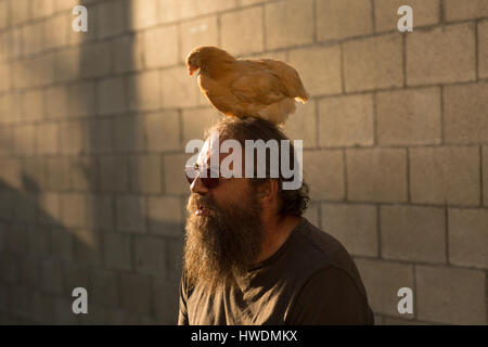 Man sitting with a chicken on his head in Trinidad, Cuba Stock Photo ...