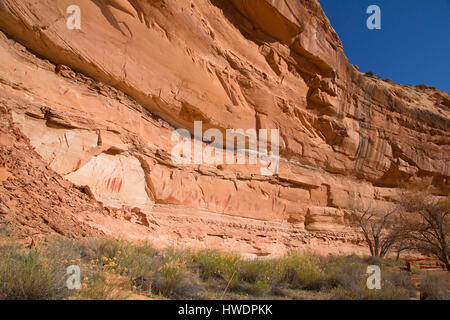 The Great Gallery pictographs, Horseshoe Canyon, Canyonlands National ...