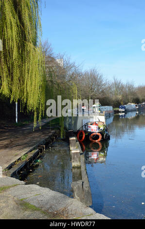 Tottenham Hale, River Lee Navigation, London, UK. 12th Jan 2025. UK ...