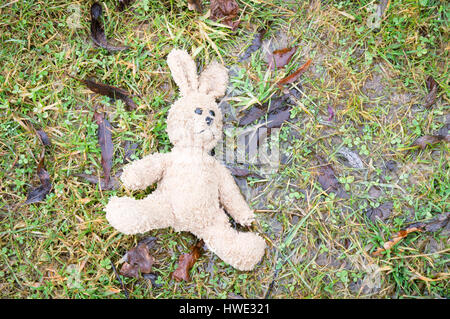 forgotten, abandoned, wet cuddly toy, hare, rabbit, mud, green, puddle ...