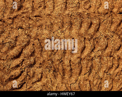Wall for background or texture of mud and straw bricks (adobe) baked in ...