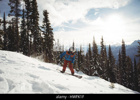 Man snowboarding on snow against trees during winter Stock Photo - Alamy