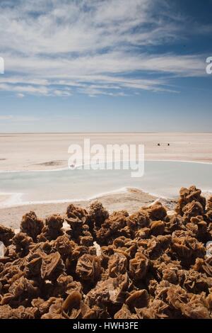 Tunisia, The Jerid Area, Tozeur, El Mouradi Hotel, swimming pool Stock ...