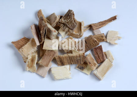 Quillaia / Soap Bark Stock Photo - Alamy